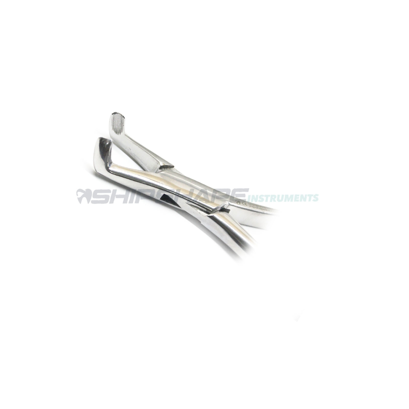 Tooth Extracting Forceps # 222 Dental Oral Extraction Procedure Tool ...
